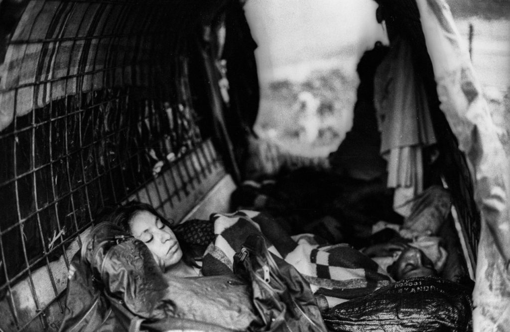 „Romii sunt încă străini pe teritoriul României“ | Teleleu